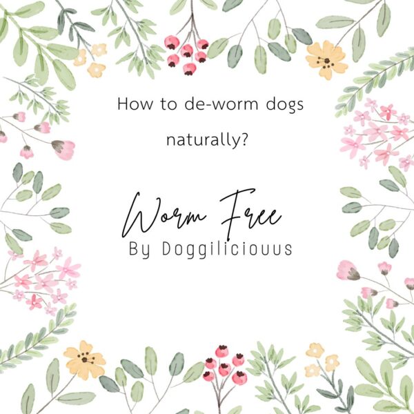 Doggilicious Deworming Powder: Natural Dewormer for Dogs