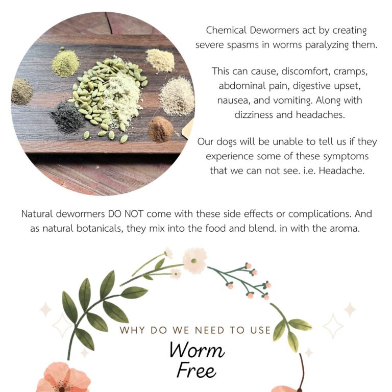 Doggilicious Deworming Powder: Natural Dewormer for Dogs