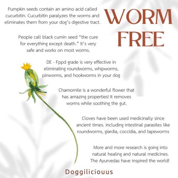 Doggilicious Deworming Powder: Natural Dewormer for Dogs
